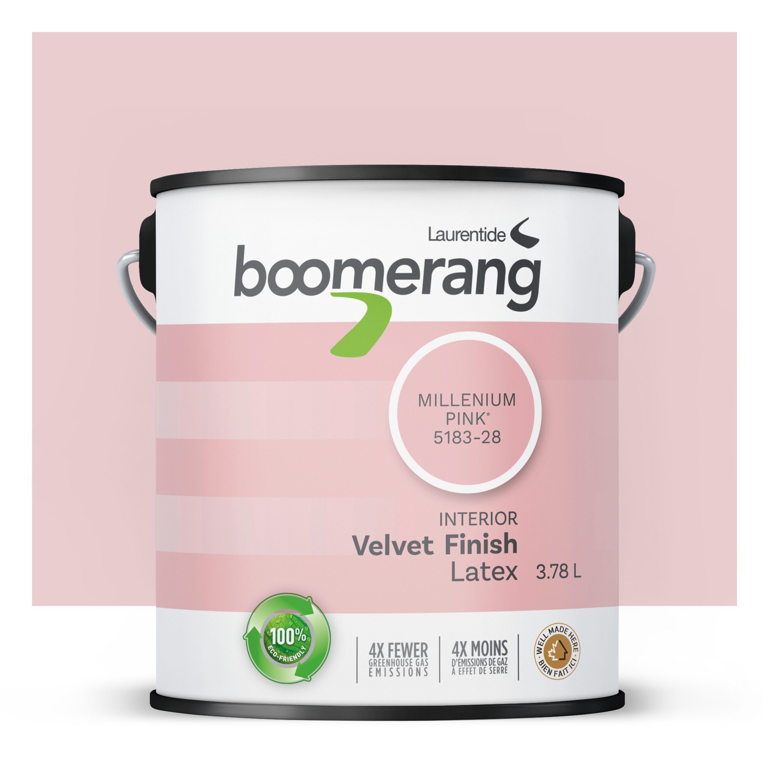 MILLENIUM PINK 5183-28 - Boomerang Paint