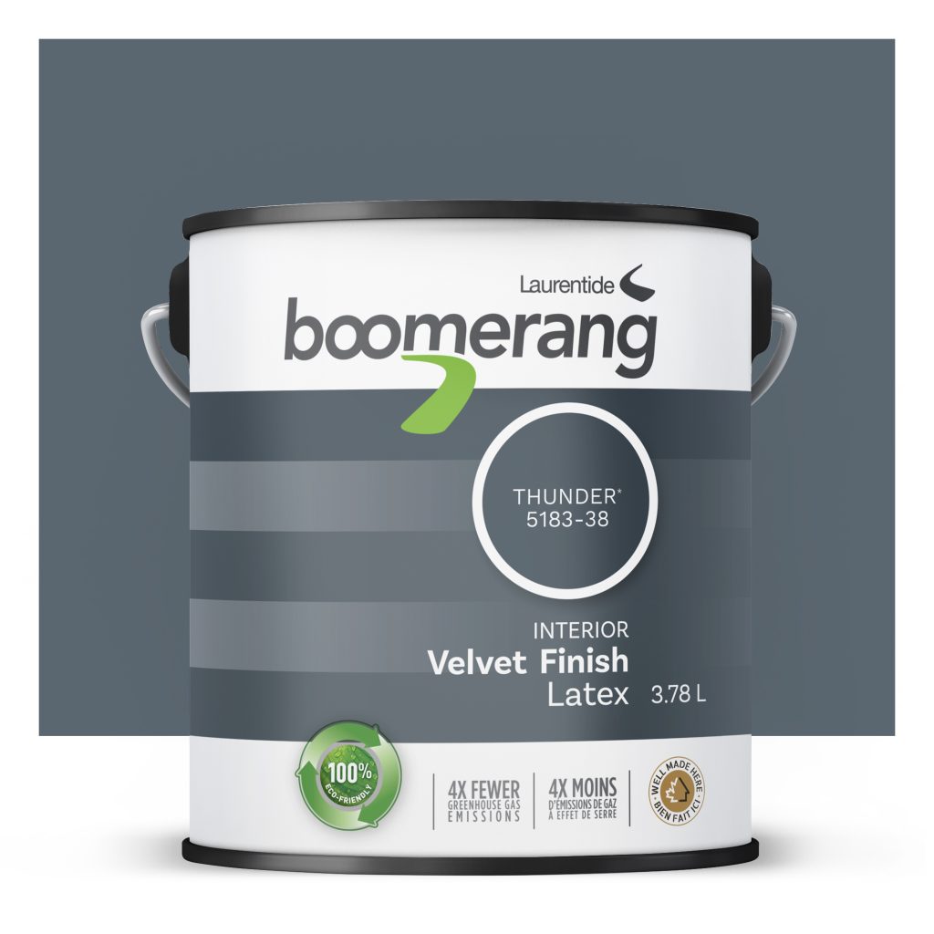 Trends - Boomerang Paint
