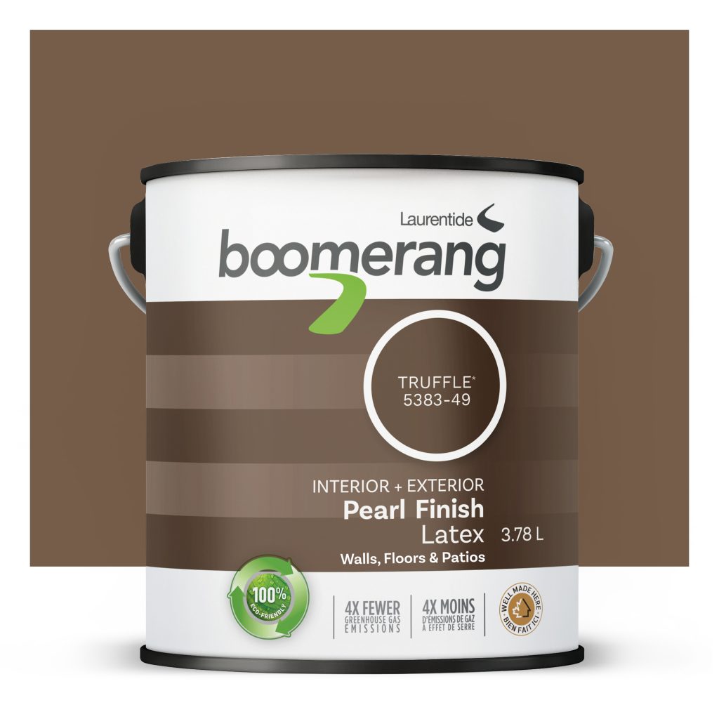 Trends - Boomerang Paint