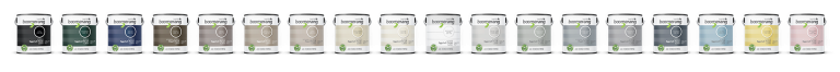 Accueil - Boomerang Paint