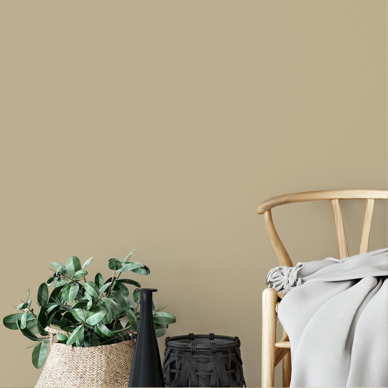 Beige Colours - Boomerang Paint