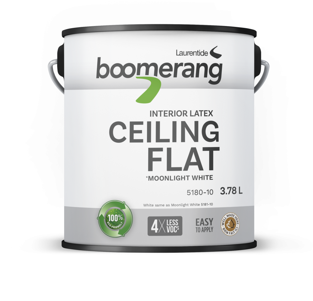 Interior Paint - Boomerang Paint