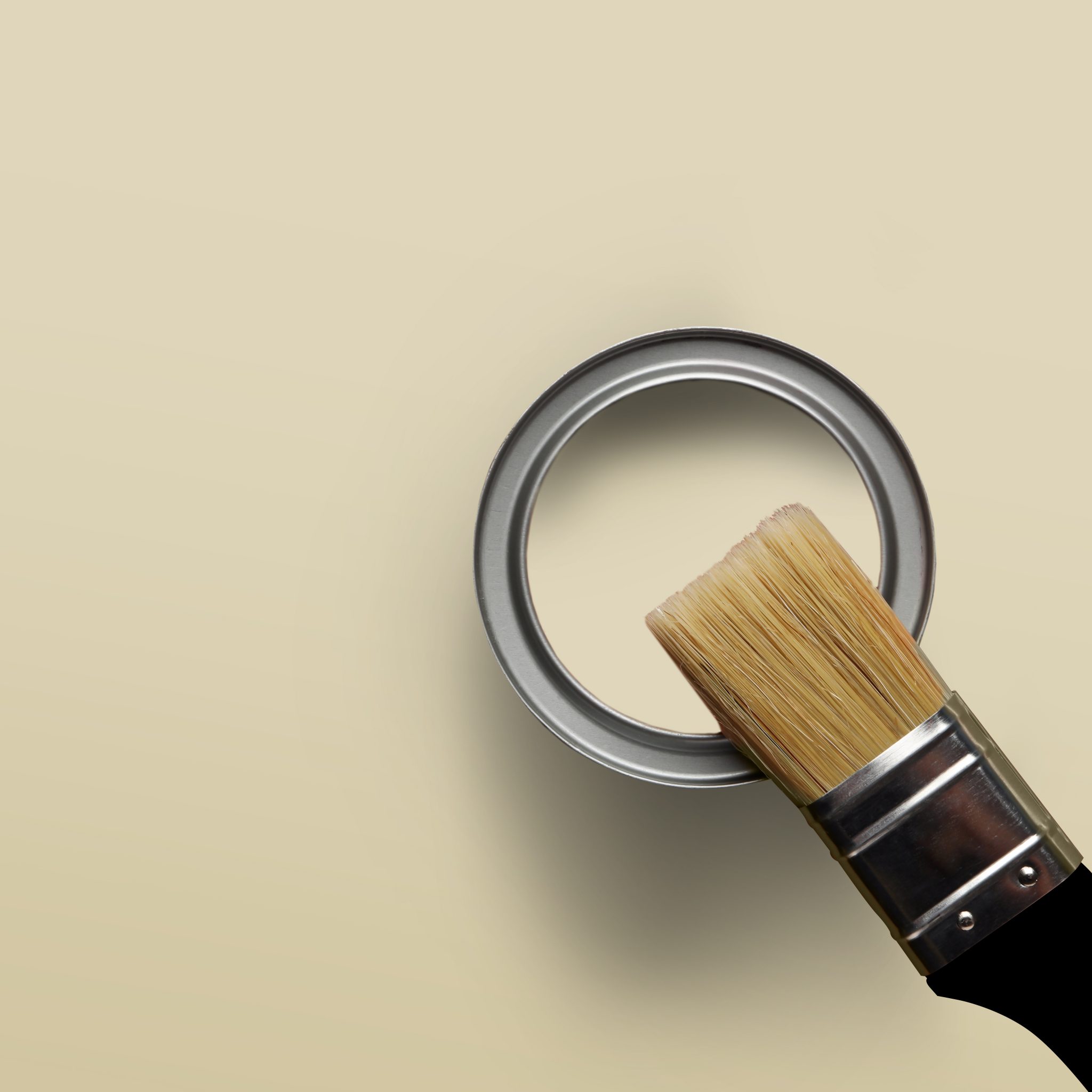 Home - Boomerang Paint