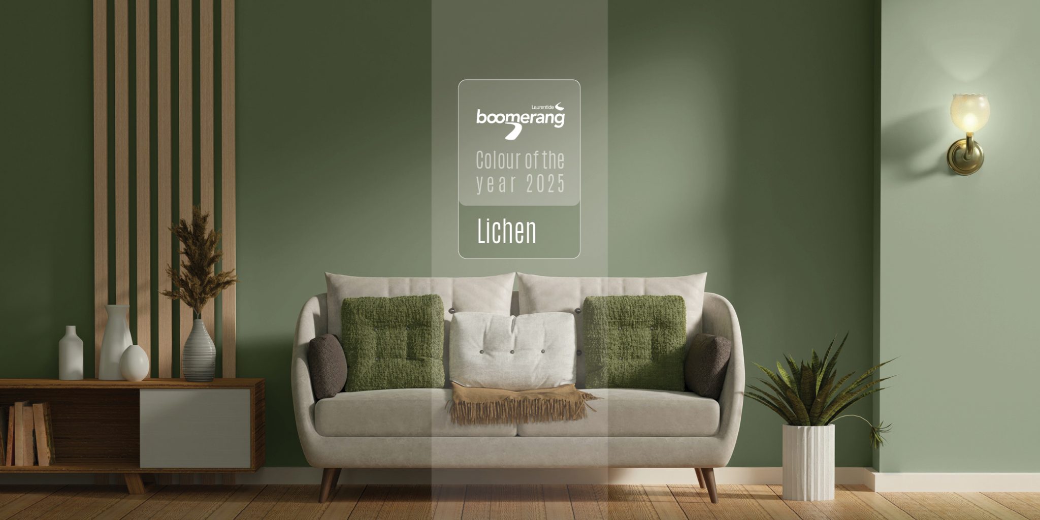 Home - Boomerang Paint