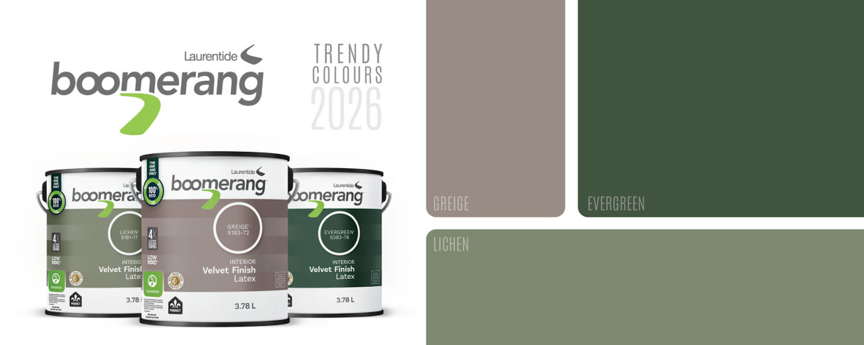 Home - Boomerang Paint